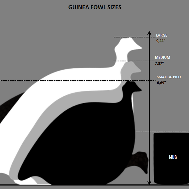 Ceramic Guinea Hens – The Annapolis Pottery