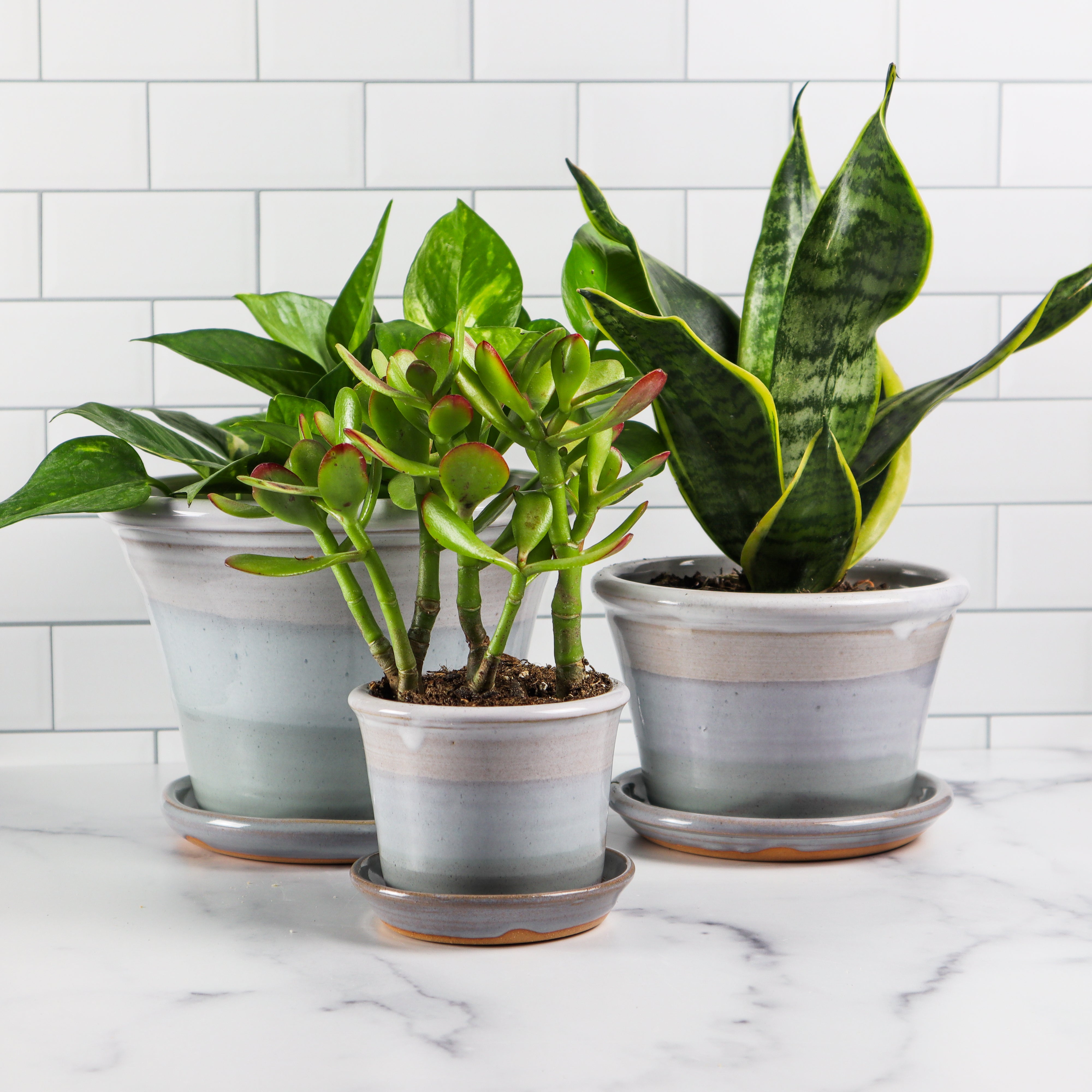 8" Planter- – The Annapolis Pottery